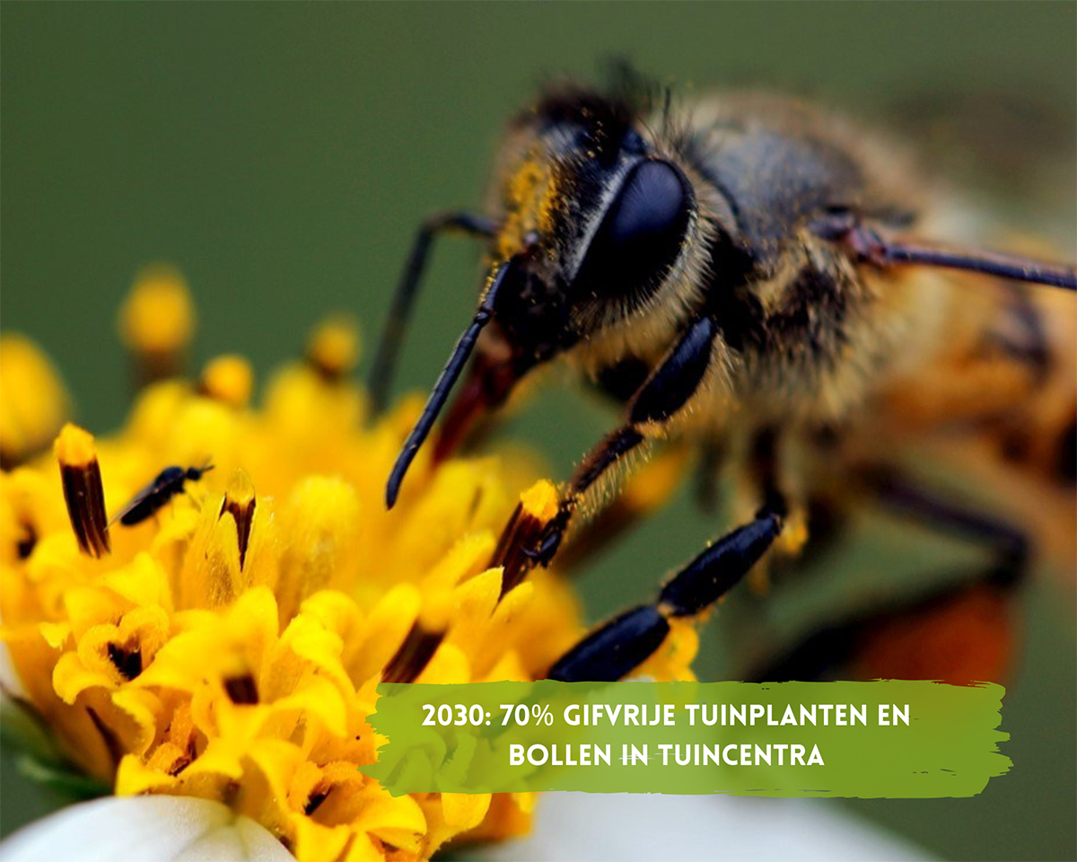 Pesticide Action Network Netherlands